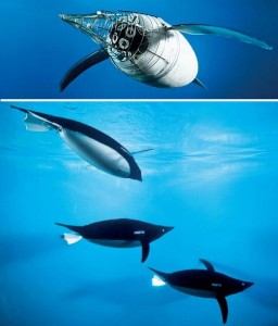 10 Festo Robots Based on Their Biological Models: Biomimicry – TechieTonics