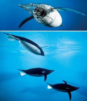 10 Festo Robots Based on Their Biological Models: Biomimicry – TechieTonics