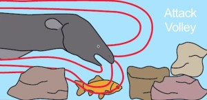 Electric Eel can remotely Control its Prey: Hijacking Neural Pathways ...