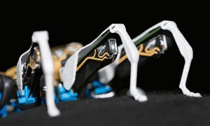 Biomimicry: Bionic Ants for future’s factory workers – TechieTonics