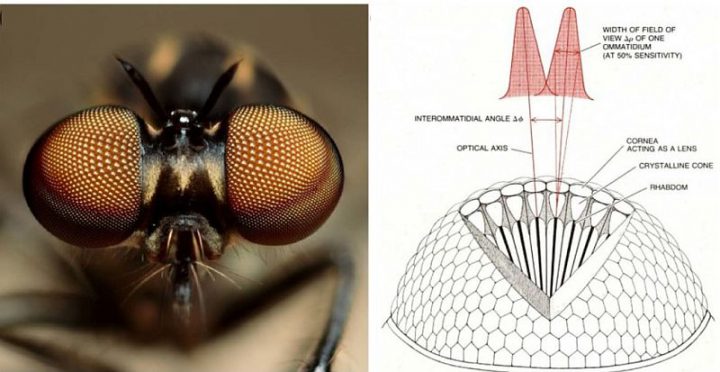 Spherical Solar Cells Boost Up Solar Energy Harvesting – TechieTonics