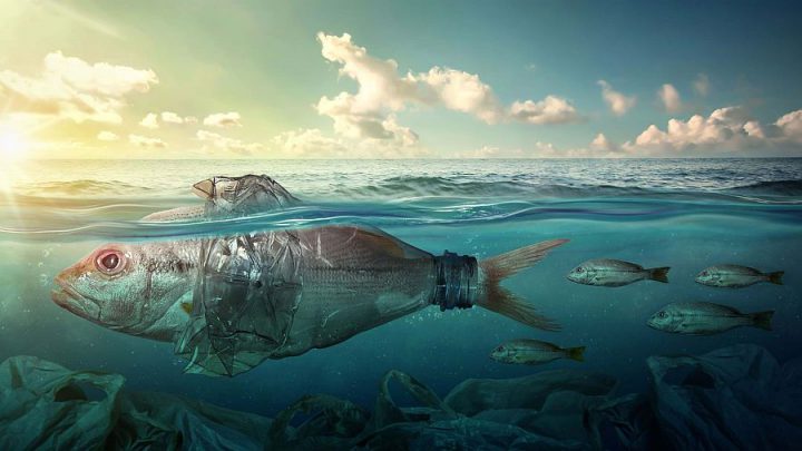 Our Consumption Habits Cause Trash In The Ocean: Marine Debris ...