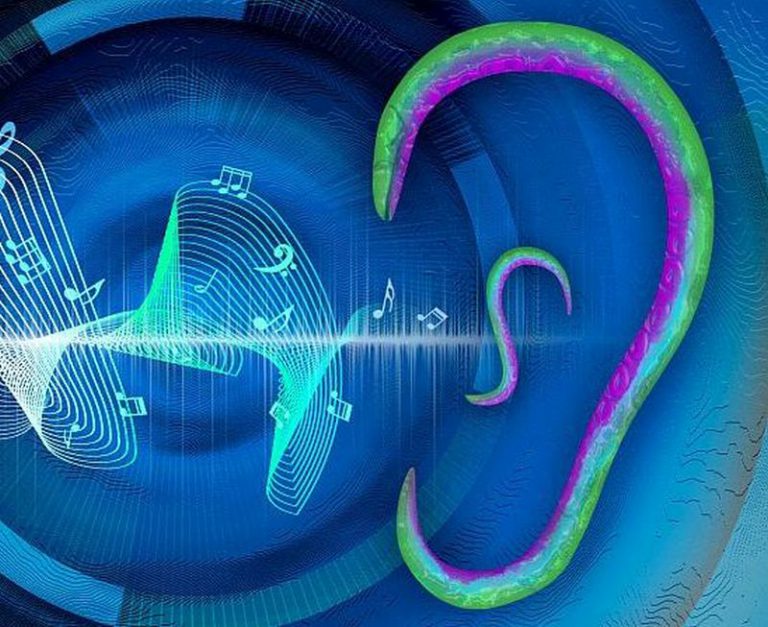 10 Weird Facts about Spiders: The Creepy Crawlers | TechieTonics