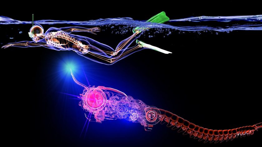 10 Festo Robots Based on Their Biological Models: Biomimicry | TechieTonics